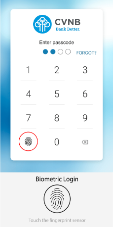 How to protect your information online mobile banking cvnb